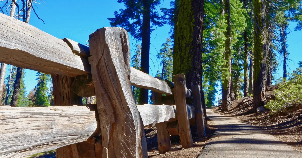 Wilderness Adventure: Bear Paw Trail Guide