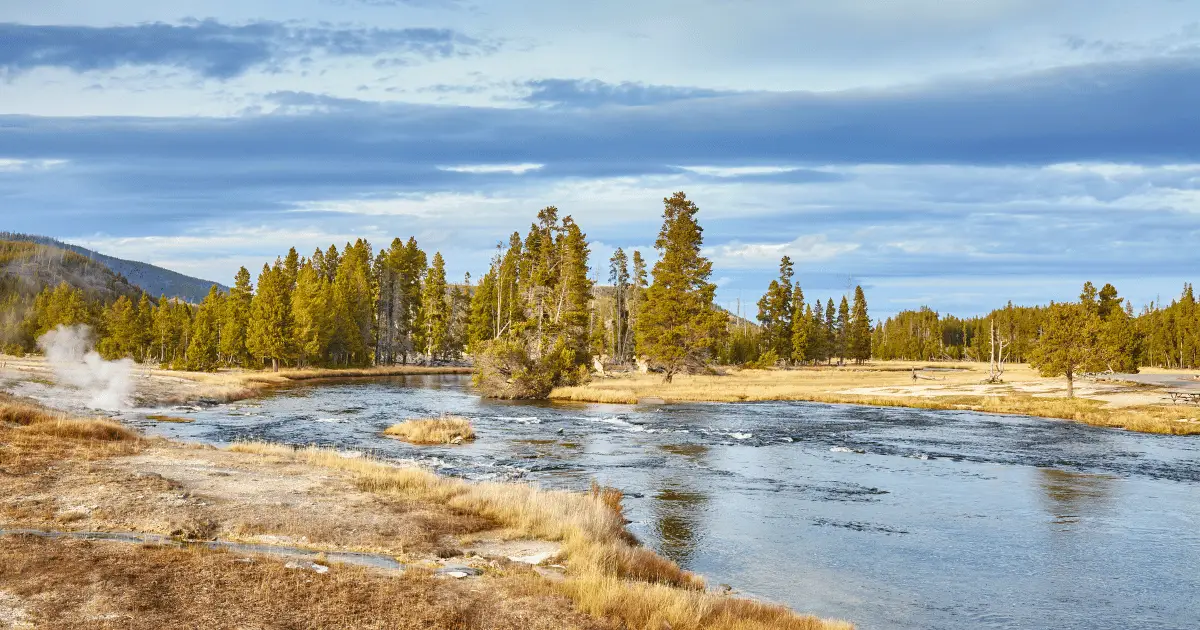 Colter Wall Yellowstone: A Musical Journey