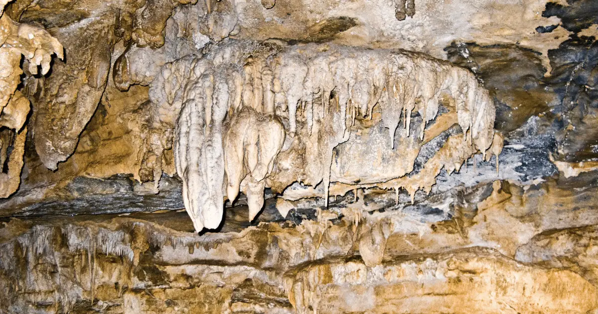 Crystal River Cave: Unearth the Subterranean Wonders
