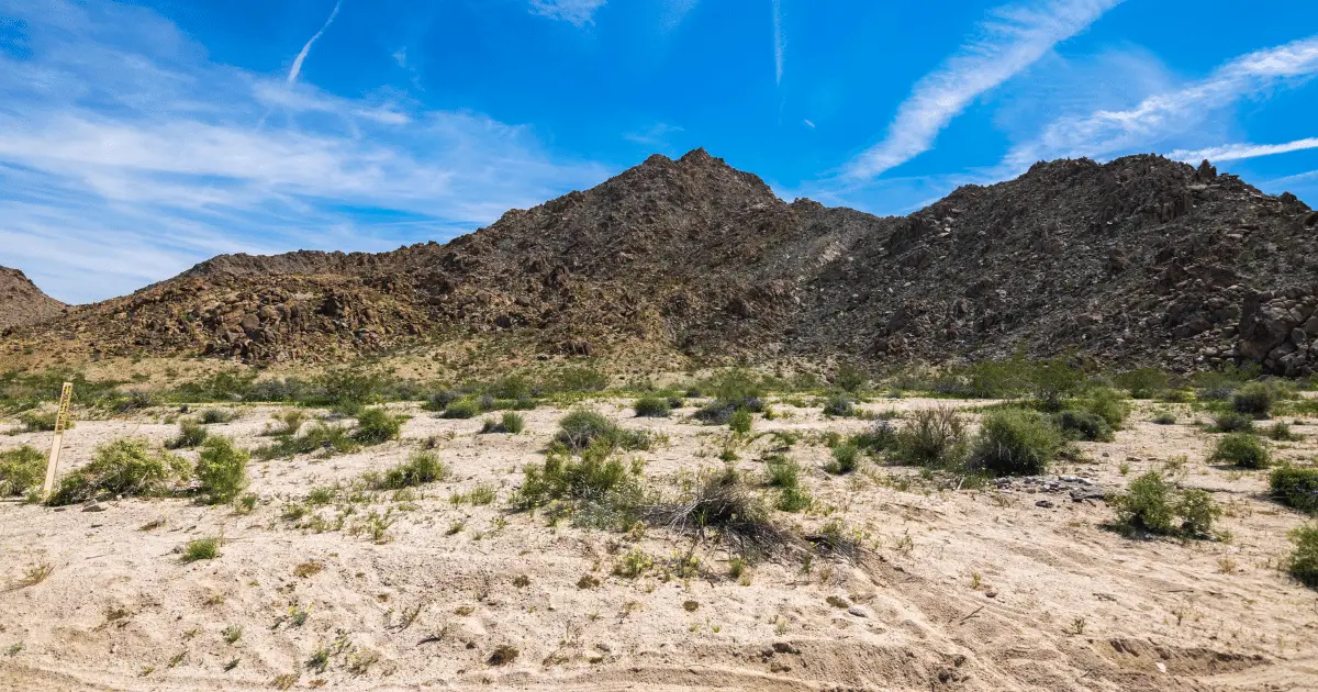 Joshua Tree County Exploration: Desert Delights Await