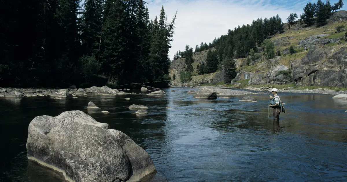 Unveiling Lamar River: A Natural Paradise