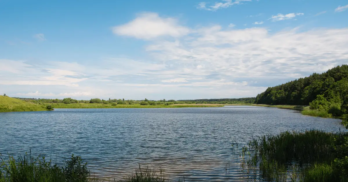 Mather Regional Park: Sacramento's Outdoor Paradise