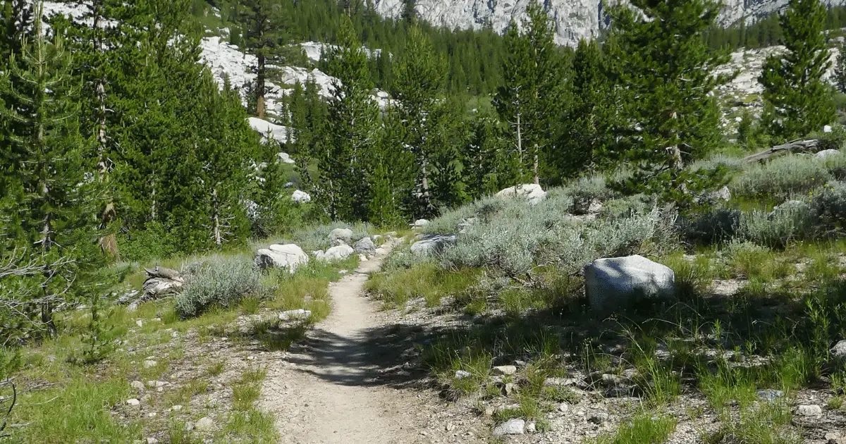 Muir Rock Trail: Coastal Hiking Adventure