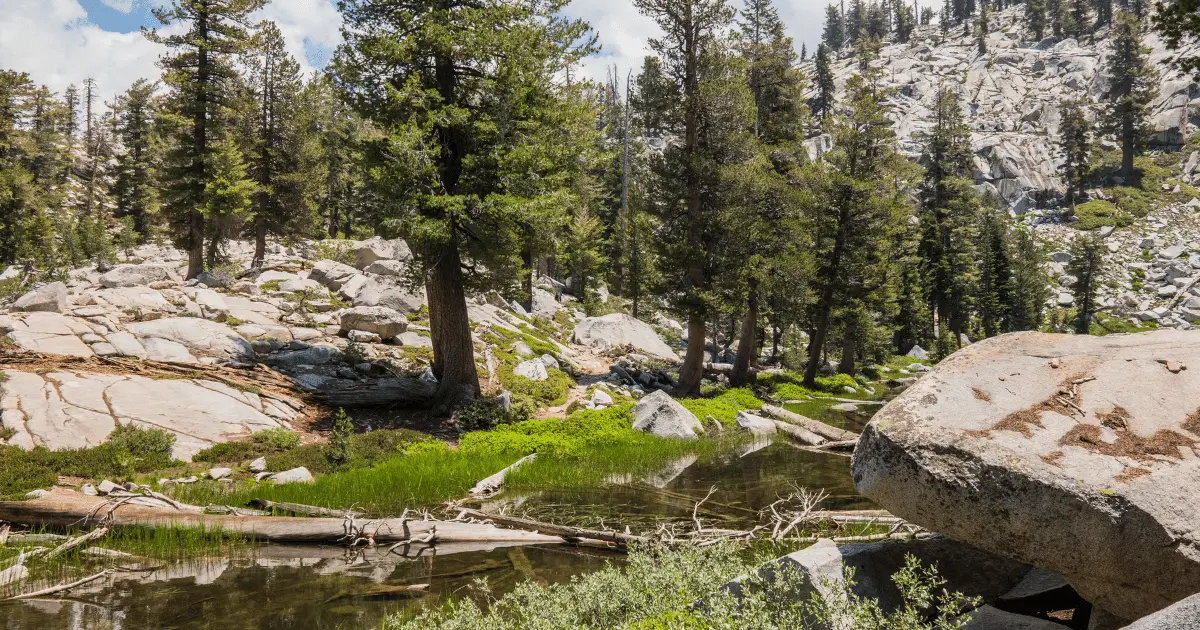 Sequoia Lake Guide: Activities & More