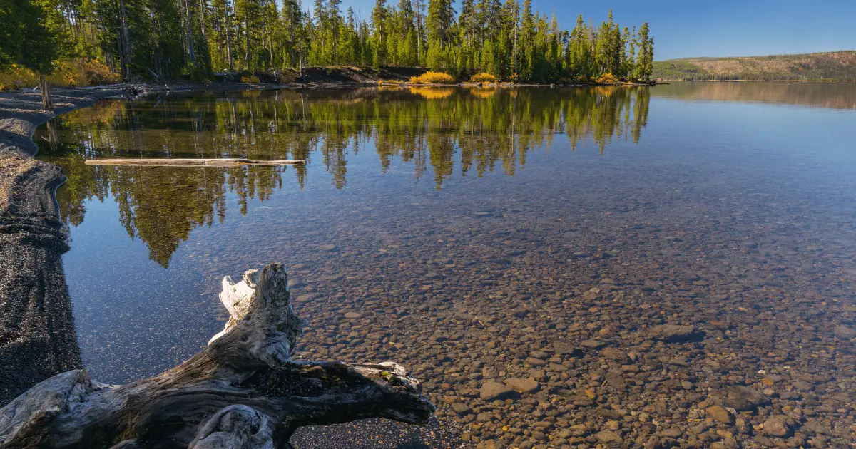 Uncover the Magic of Yellowstone South Entrance