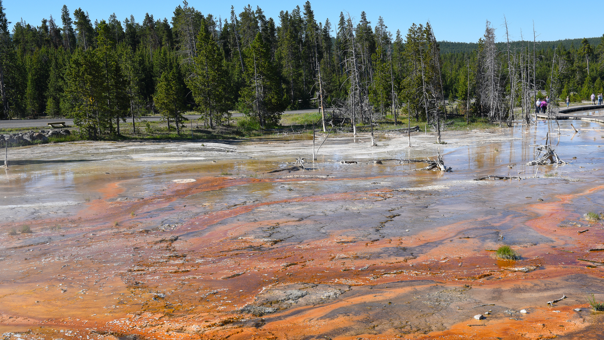Unveiling the Unique Yellowstone Mud Pots