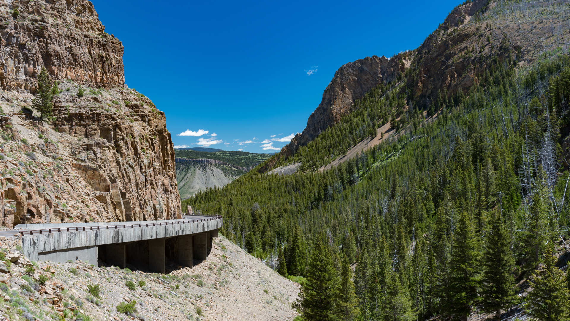 Scenic Road Trip: Yellowstone North Loop Adventure