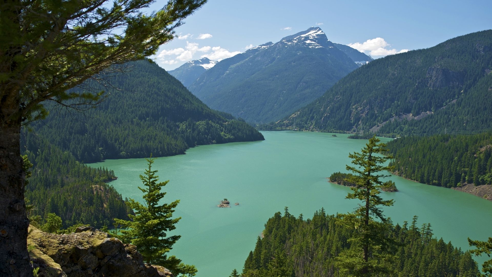 Nature's Beauty: Lake Diablo Boat Tour