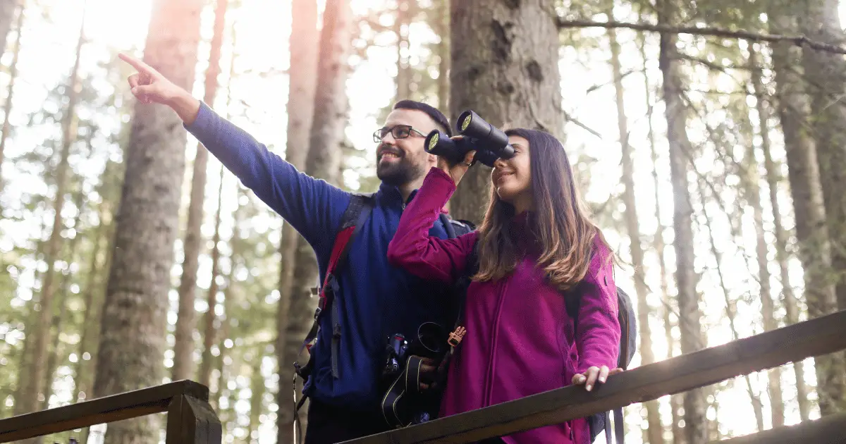 Cave Falls Yellowstone: Hidden Gem Unveiled