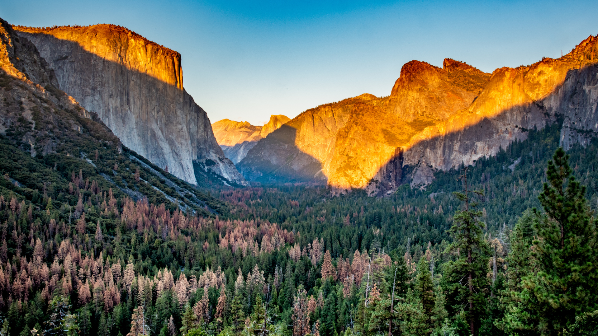 Understanding the Crack's Essence: Yosemite's Wonder