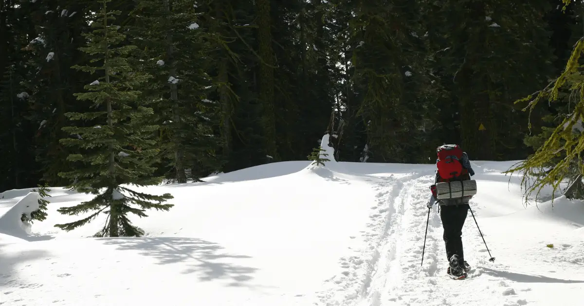 Dewey Point Yosemite: Hiking to a Breathtaking Overlook