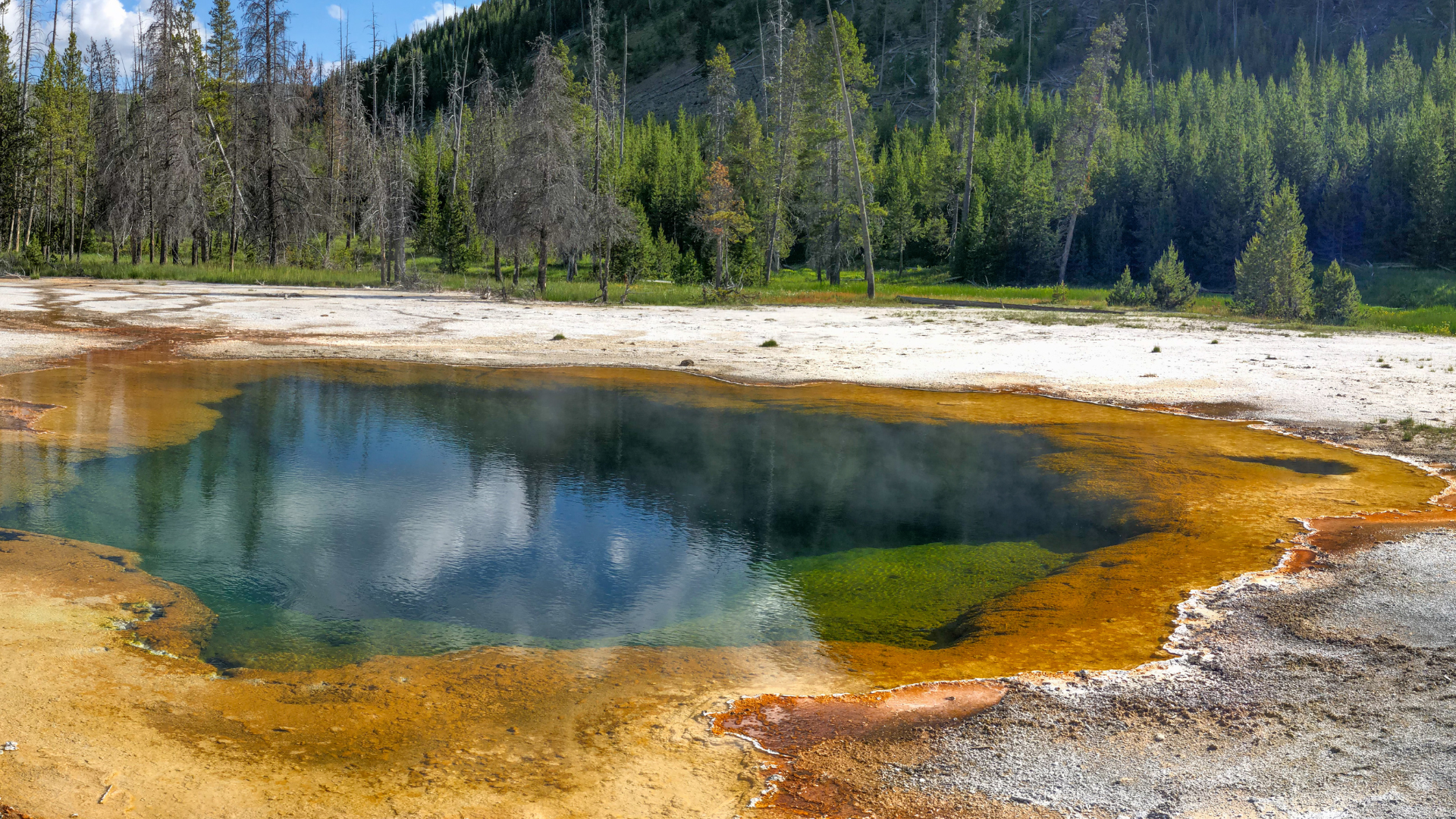 A Hidden Oasis: Exploring Emerald Pool in Yellowstone