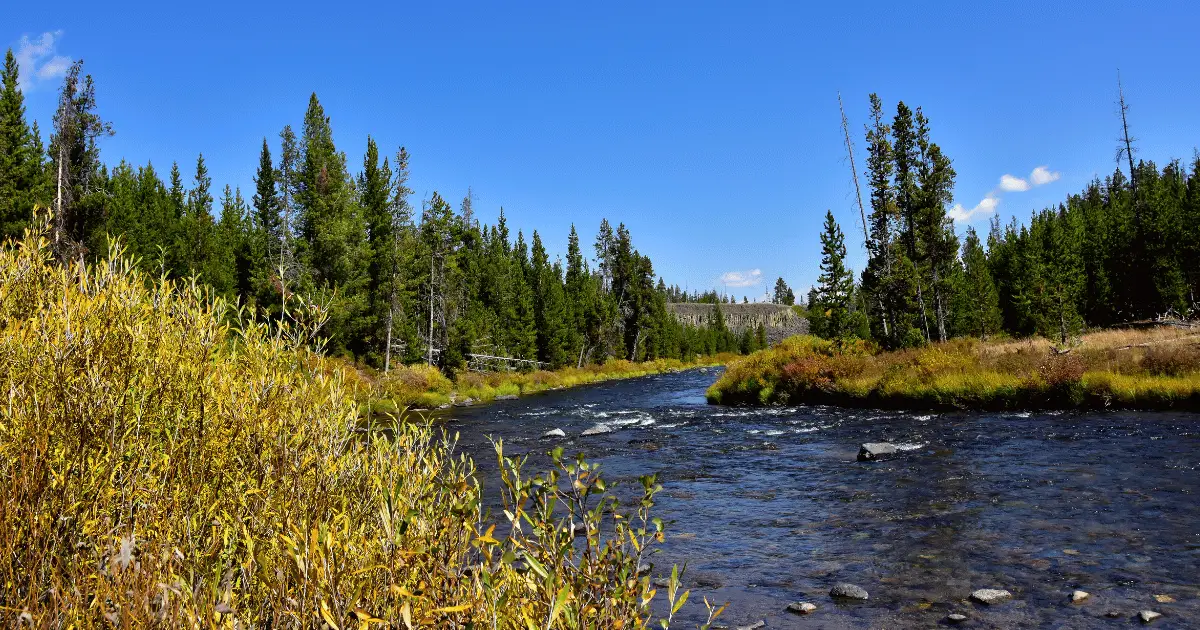 Your Guide to Gardner River: Fishing and More