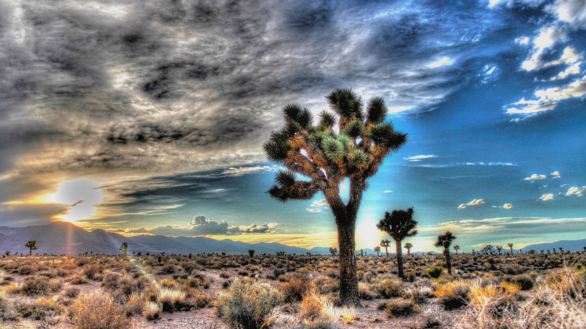 Yosemite Weather per Month: Your All-Season Guide