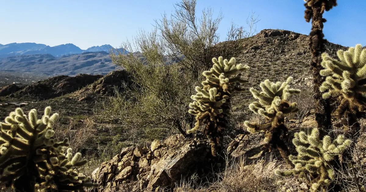 Seven Summits of Phoenix: A Hiking Adventures