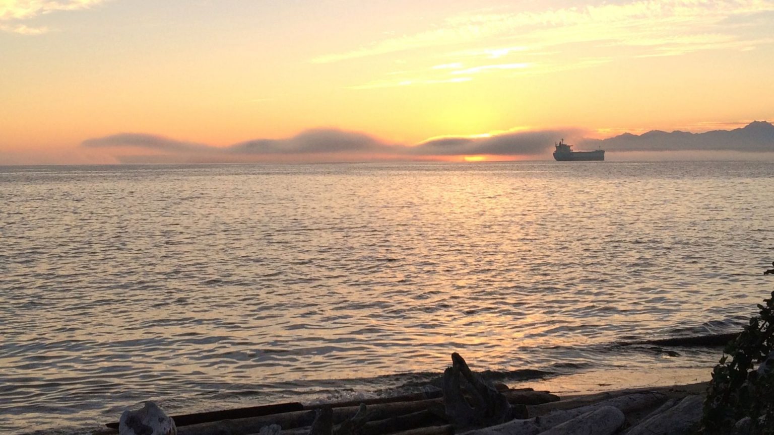 Relaxing Getaway: Pocket Beach in Seattle