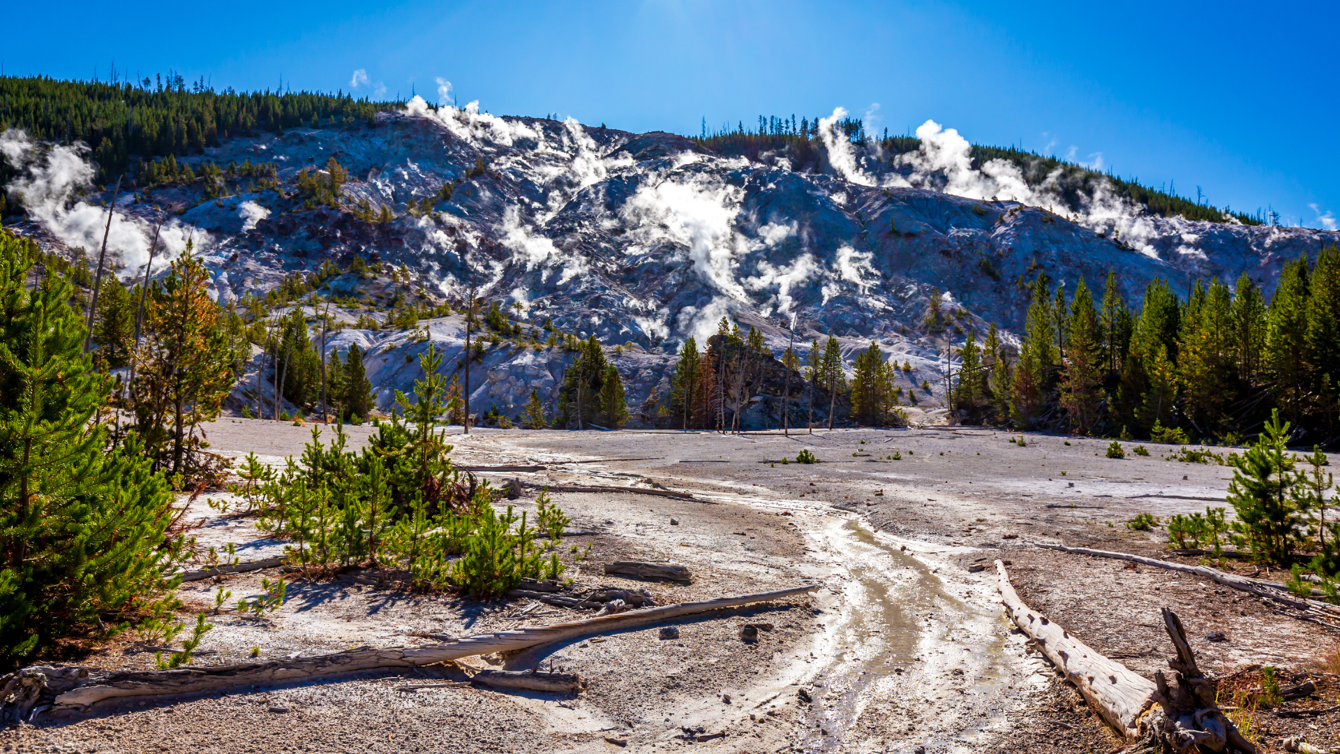 Unveiling the Wonders of Roaring Mountain in Yellowstone