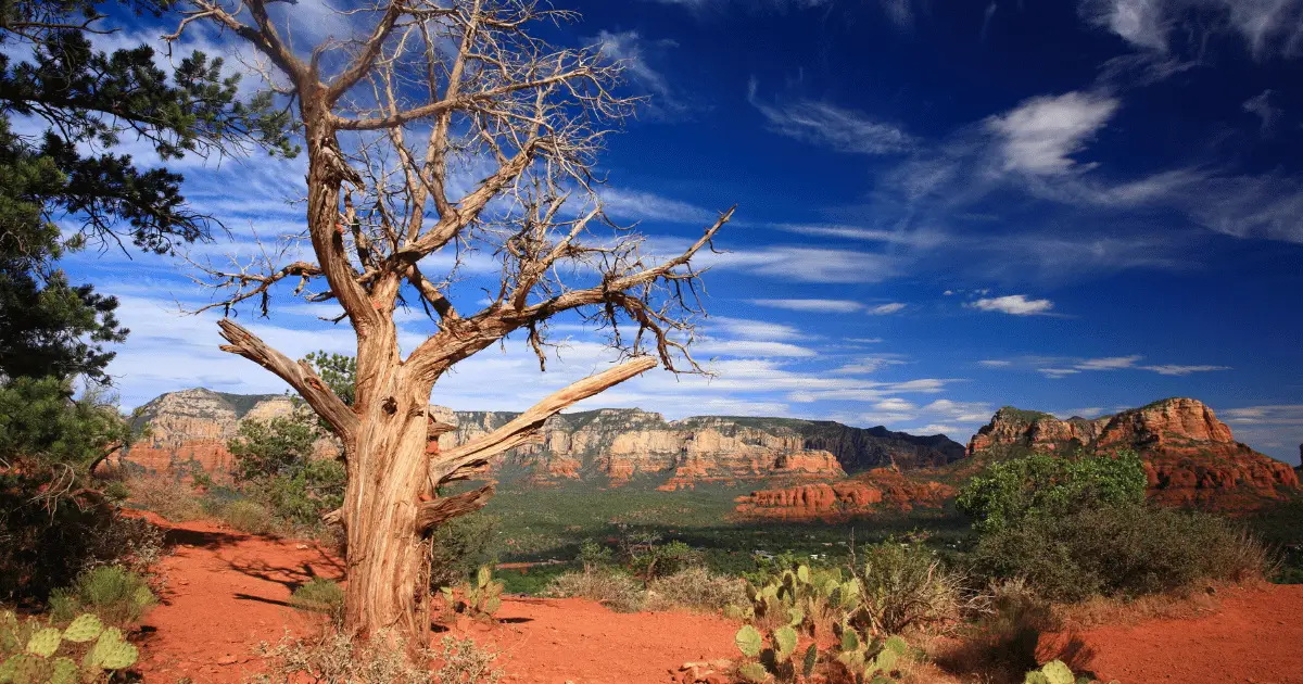 Discover Sedona's Landscape: Nature's Masterpiece