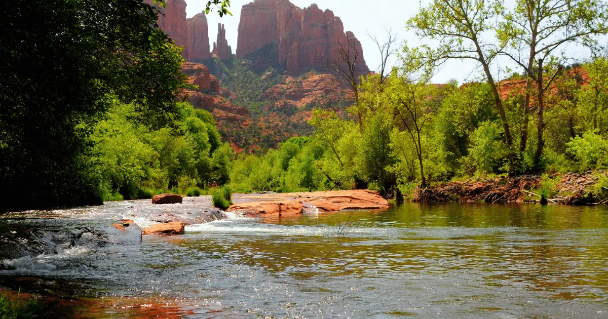 Discover Sedona Wildlife: A Natural Haven