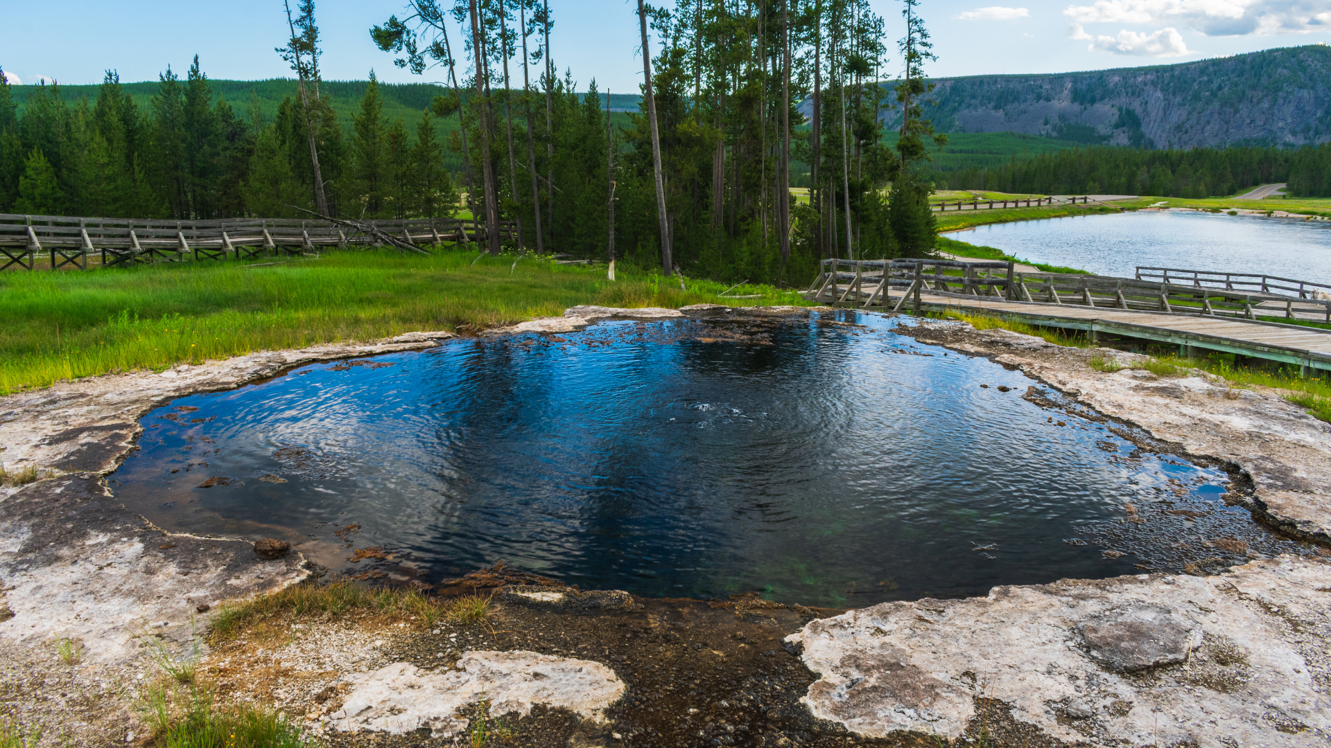 A Visit to Yellowstone: Spring Splendor Unveiled