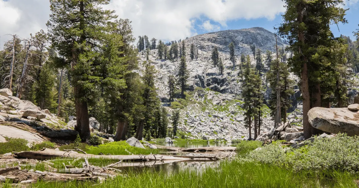 An Overview of Weather by Month in Sequoia National Park