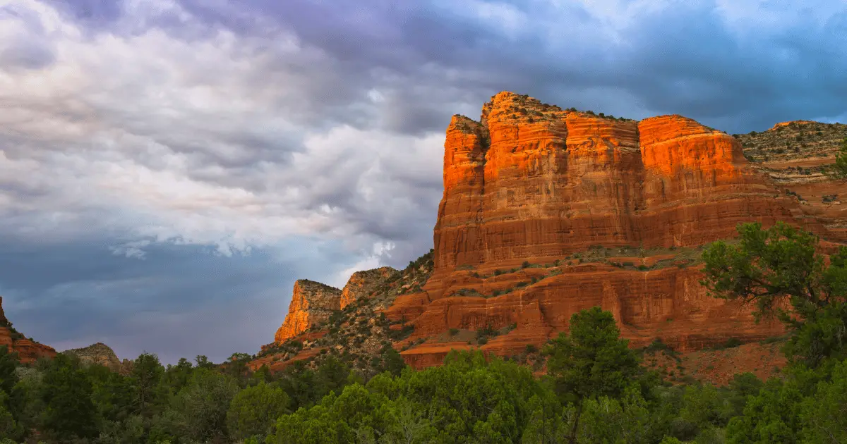 Discover Sedona Wildlife: A Natural Haven