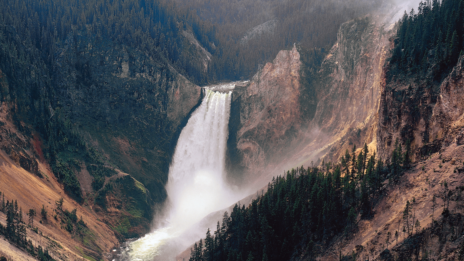 A Nature Journey: Yellowstone's Lower Loop Odyssey