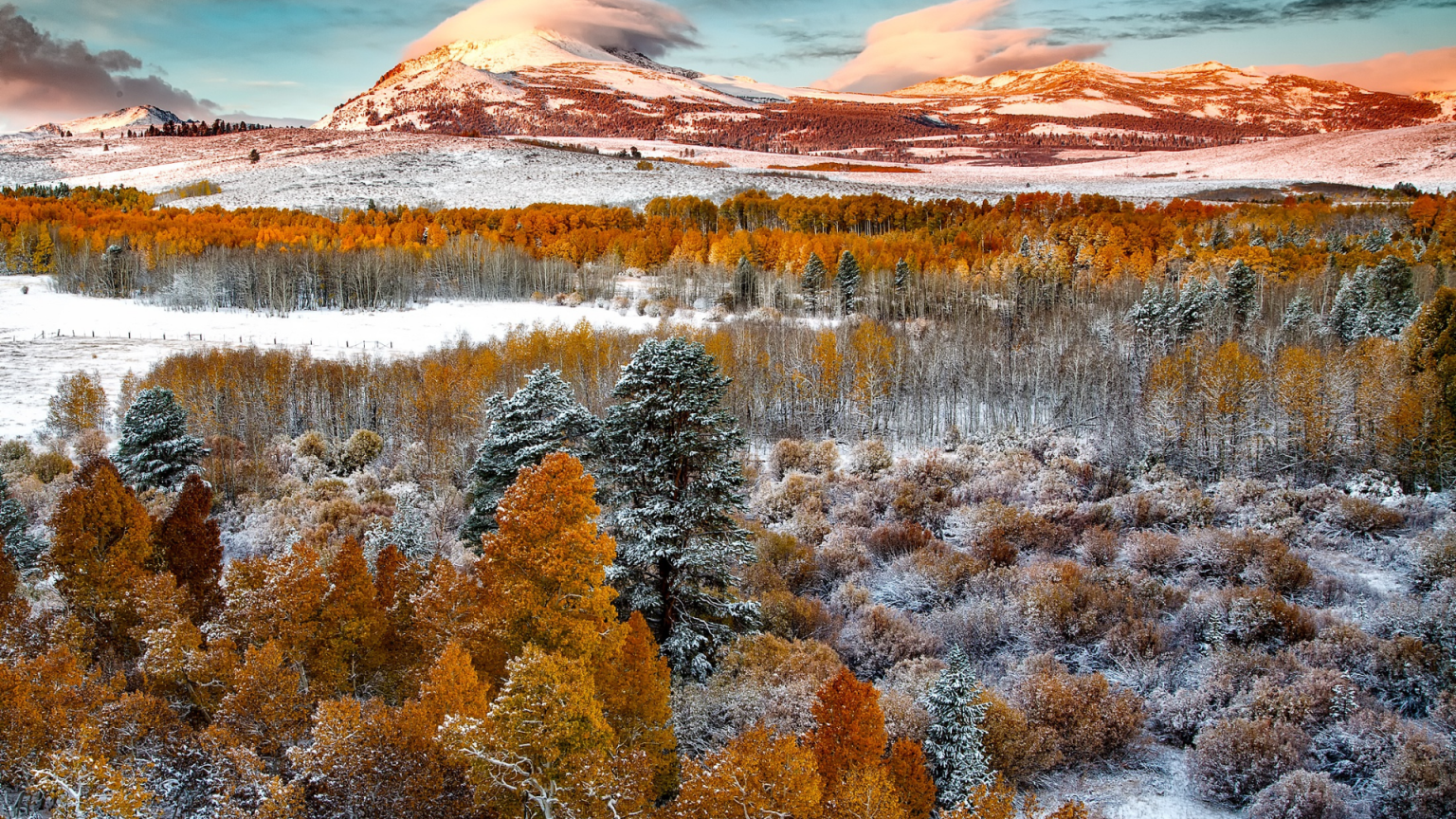 A Pristine Retreat: Exploring The Ribbon Falls in Yosemite