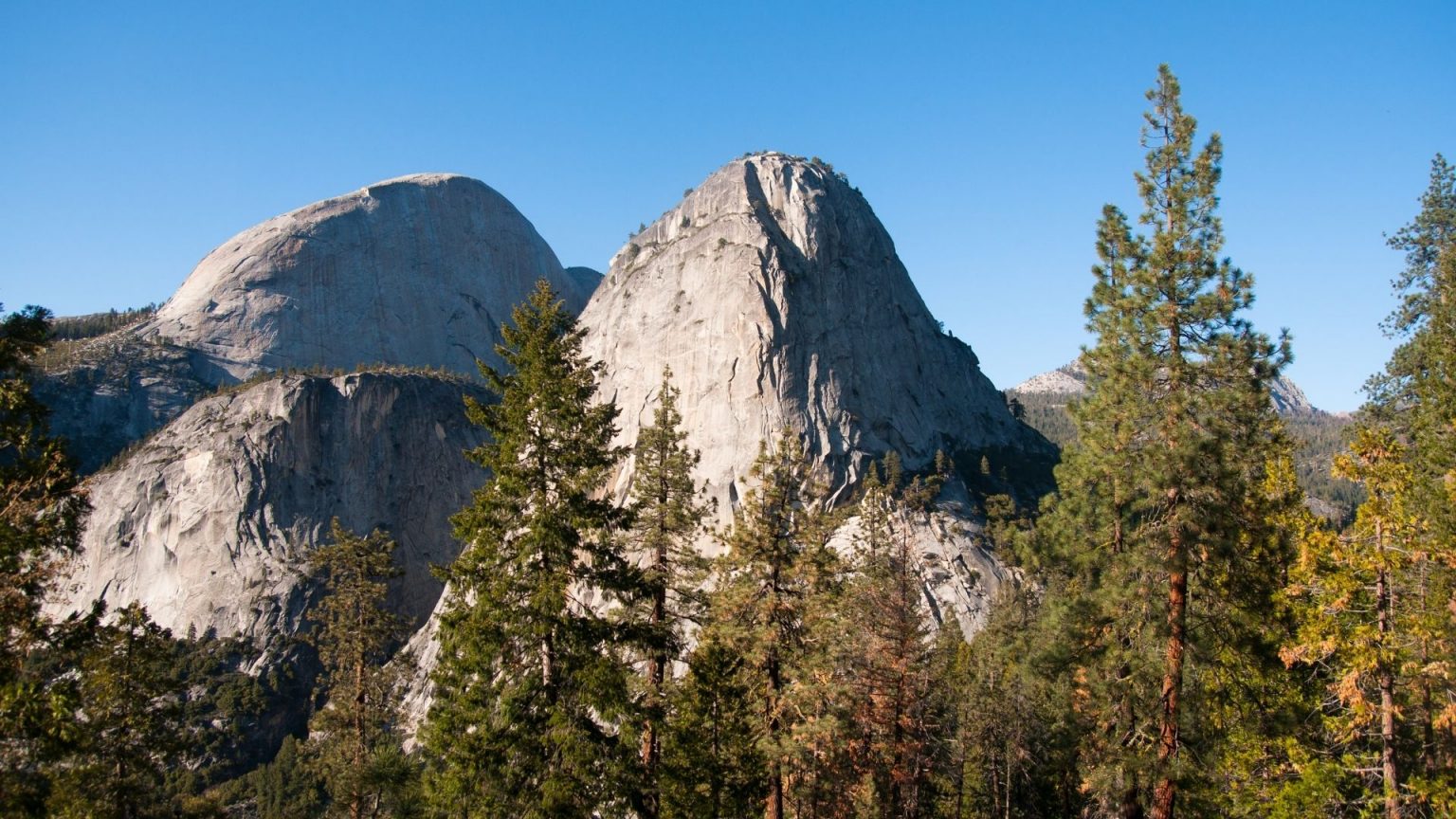 Yosemite Jazz Train Adventures: A Nature's Symphony