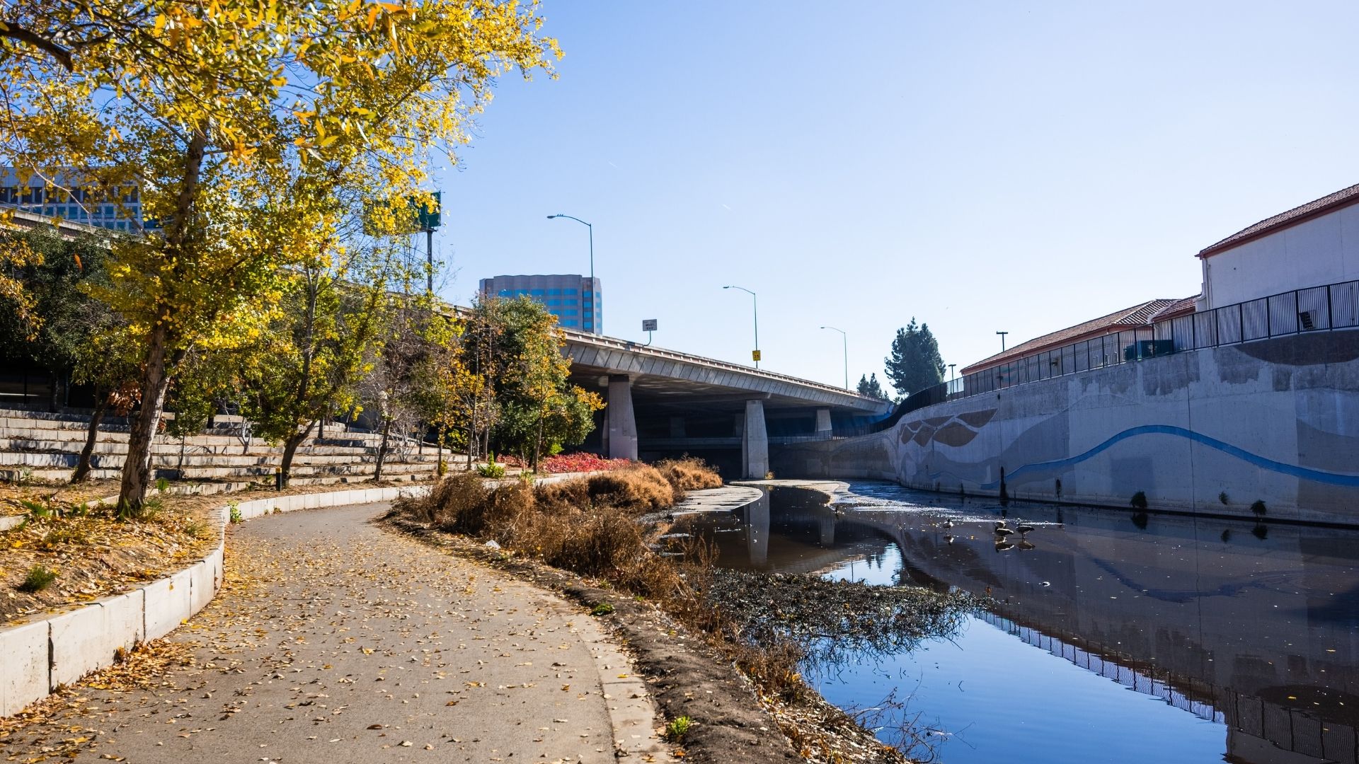 A Guide to Nature's Retreats: Riverside Bliss in San Jose